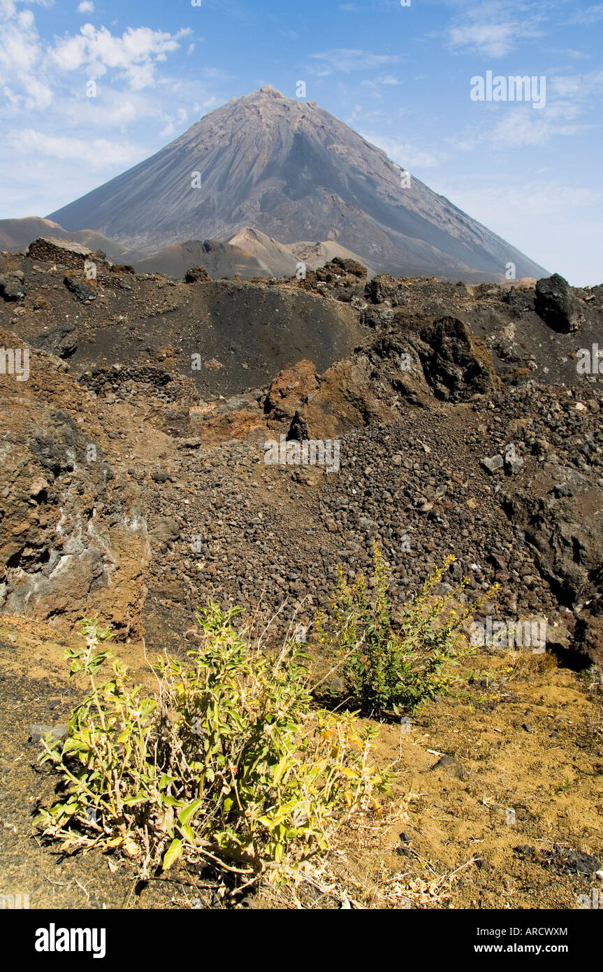 The volcano of Pico de Fogo in the background, Fogo (Fire), Cape Verde ...
