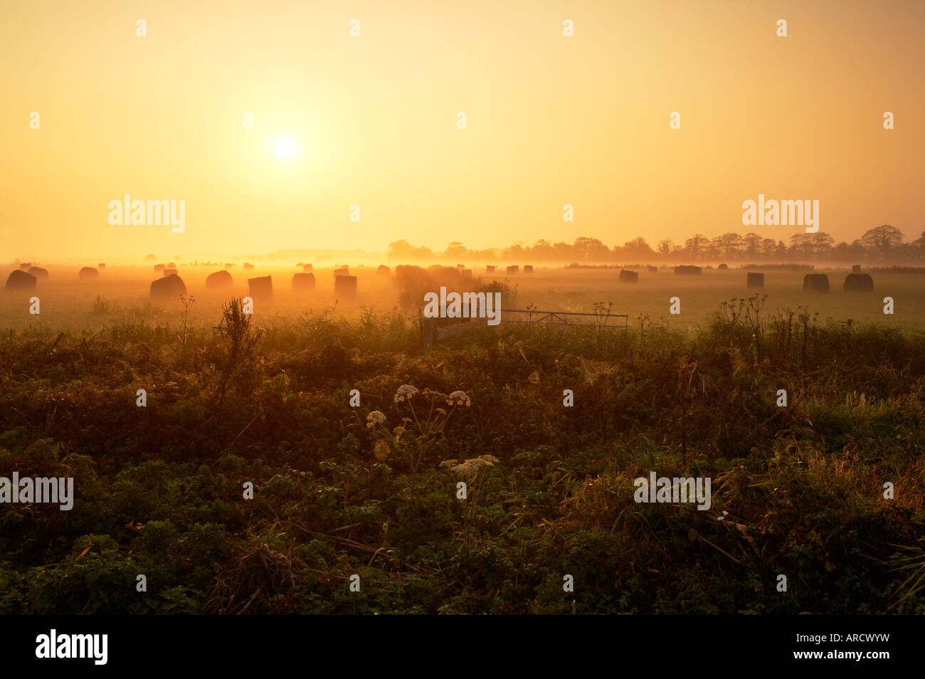Hay bails in field at sunrise hi-res stock photography and images - Alamy