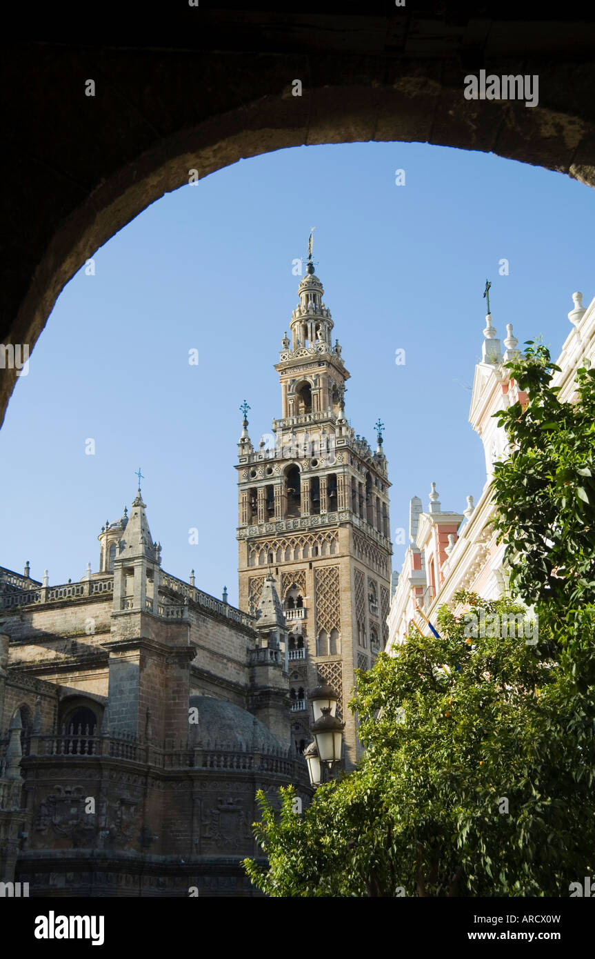 Seville Cathedral, Santa Cruz district, Seville, Andalusia (Andalucia ...
