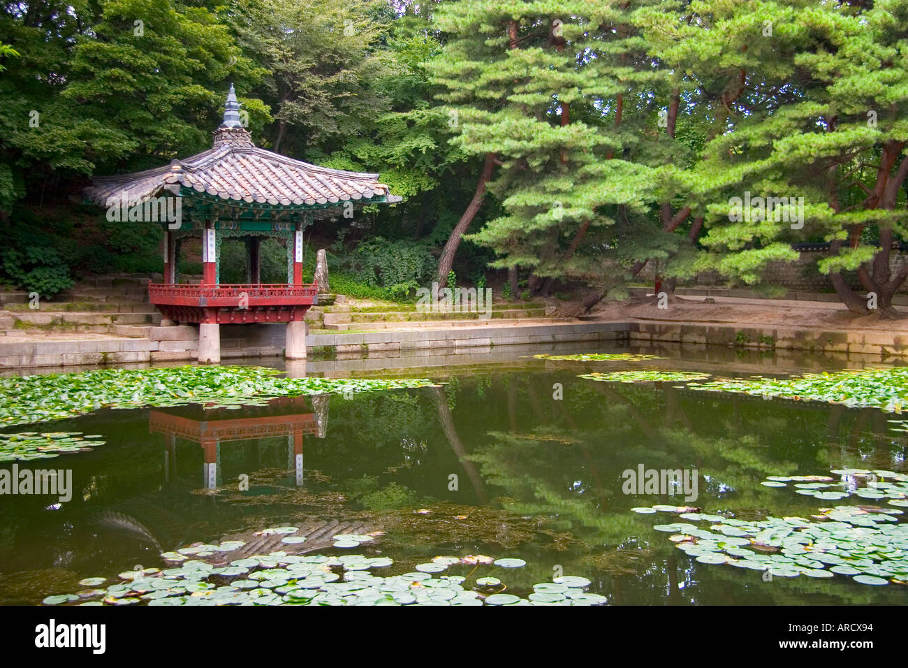 Korean Pagoda Reflection - Changdeokgung Palace and Huwon Stock Photo ...