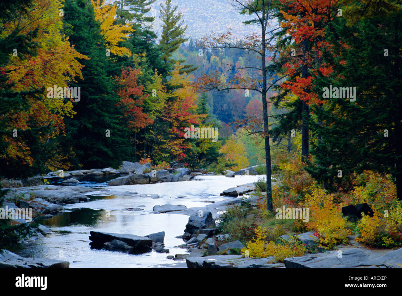 White Mountains National Forest, near Jackson, New Hampshire, USA Stock ...