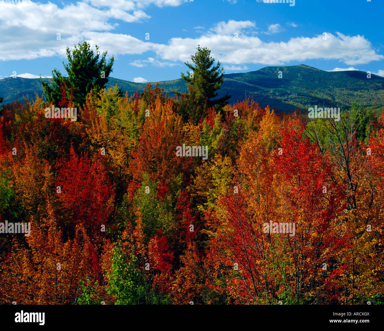 White Mountains National Forest, New Hampshire, New England, USA Stock ...