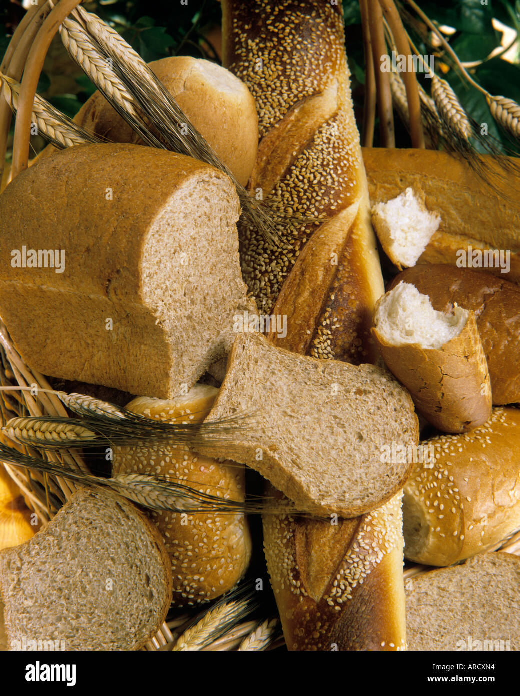 SELECTION OF BREADS IN VARIOUS SHAPES AND SIZES INCLUDING WHOLEMEAL ...