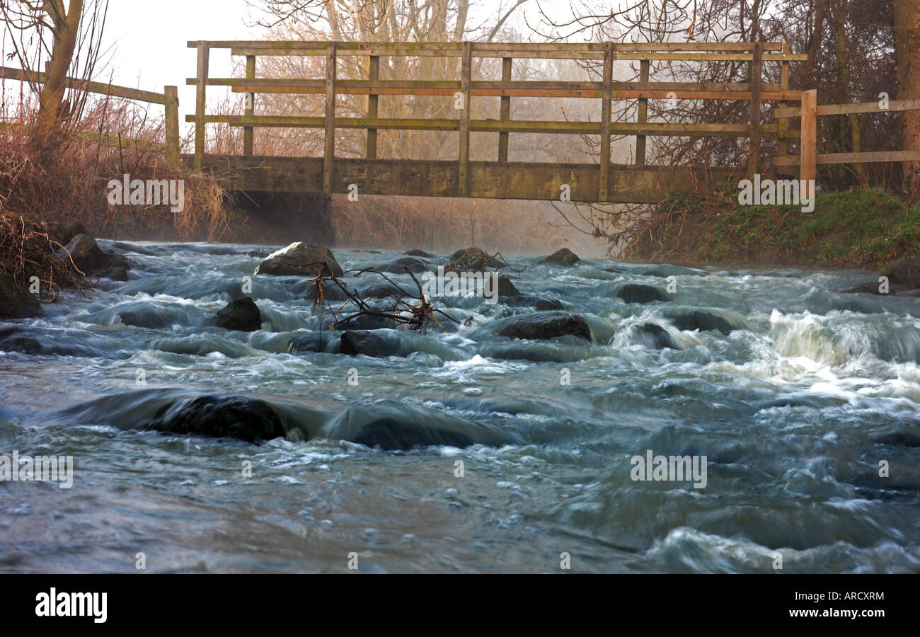Trout stream Cambridgeshire UK Stock Photo - Alamy
