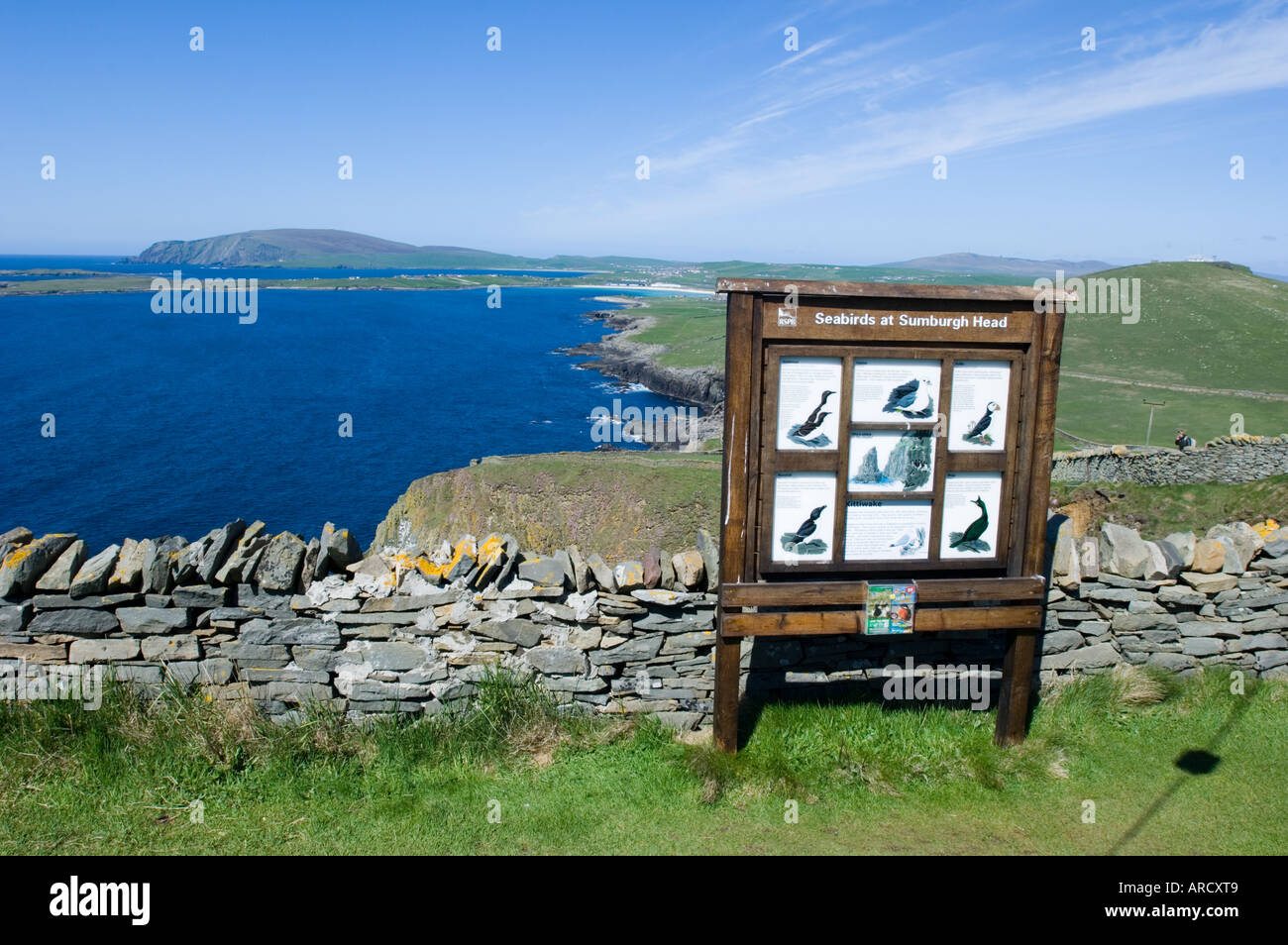 Noup head rspb reserve hi-res stock photography and images - Alamy