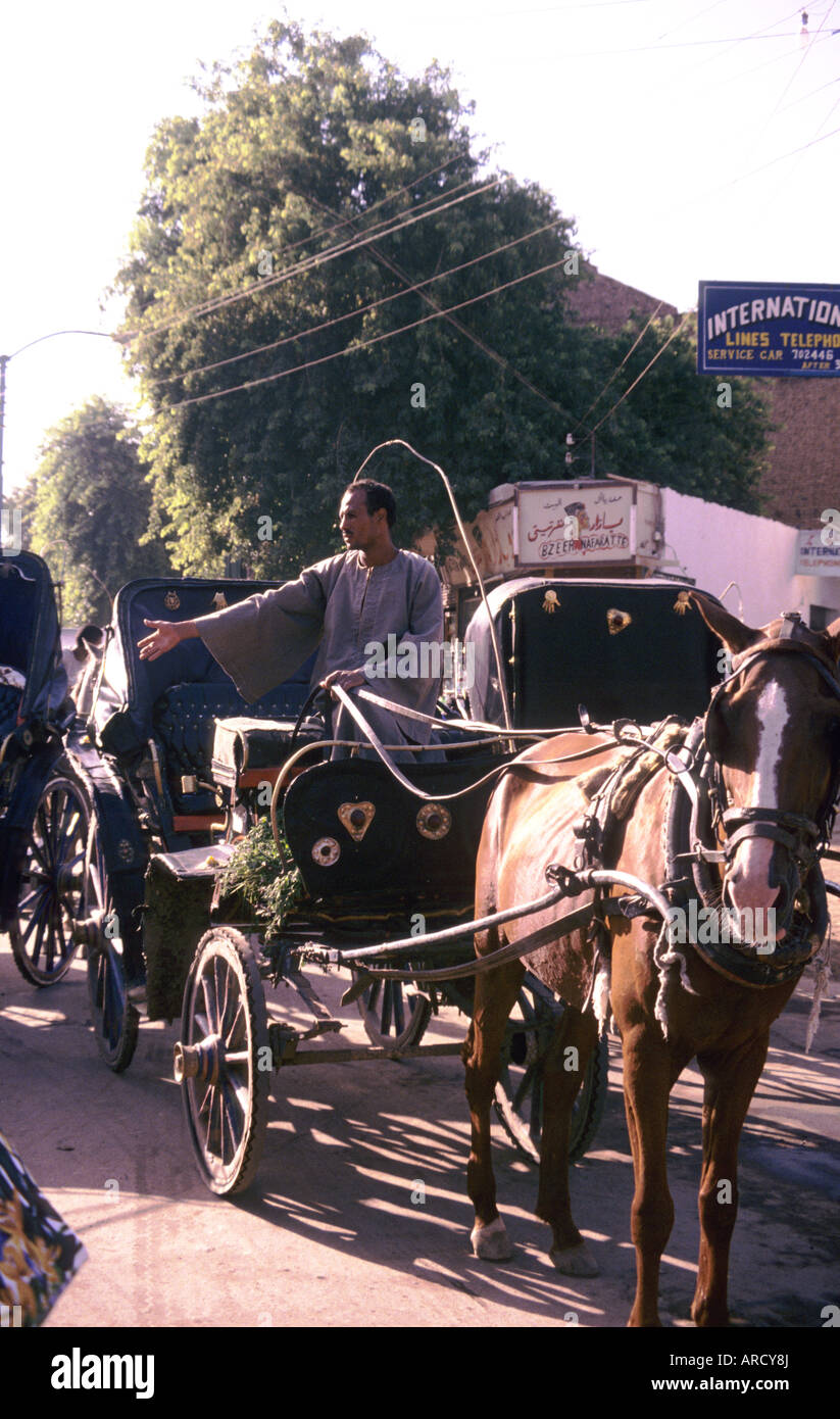 Horse drawn carriage waits for tourists disembarking from River Nile ...