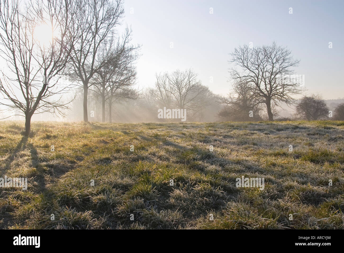 Dawn mist in Croydon Stock Photo - Alamy