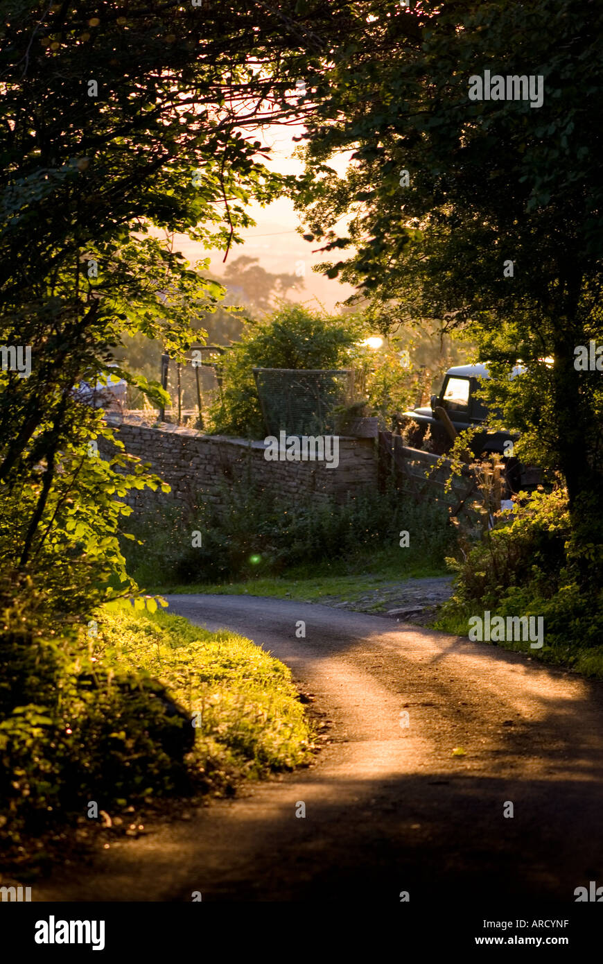 Country Lane in Summer Twilight Mid Wales Stock Photo - Alamy