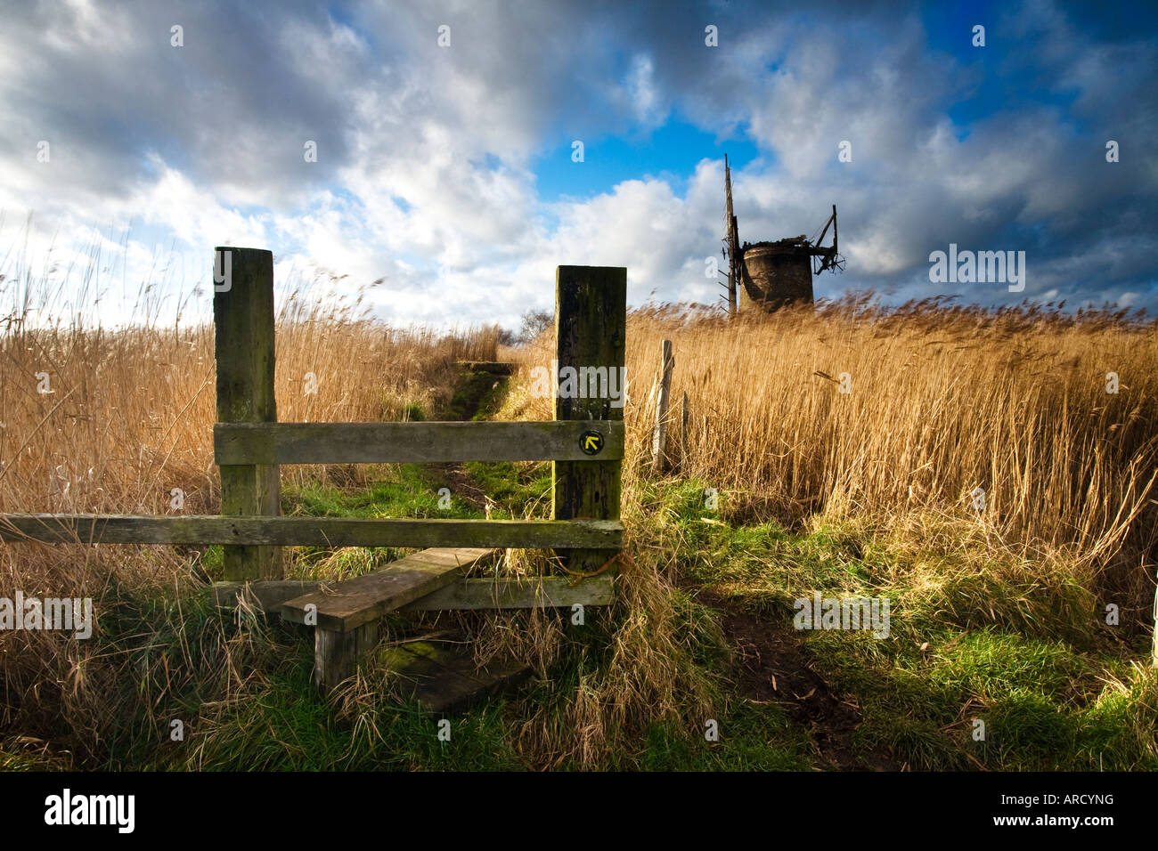 The ruins of Brograve Windpump on the Norfolk Broads Stock Photo - Alamy