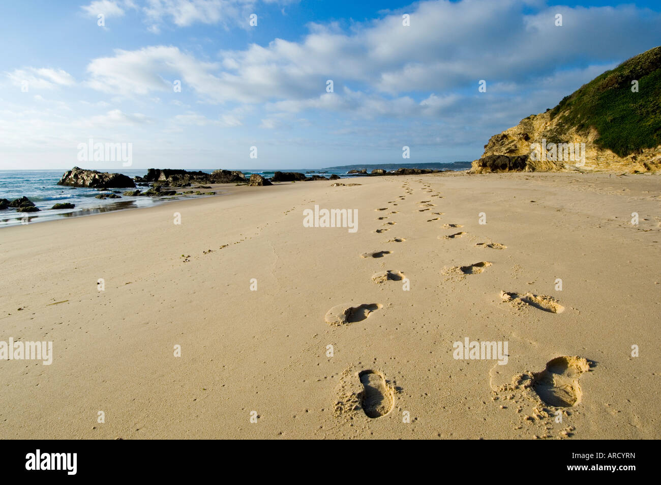 Footprints on beach at sunrise Bogola Head Eurobodalla National Park ...