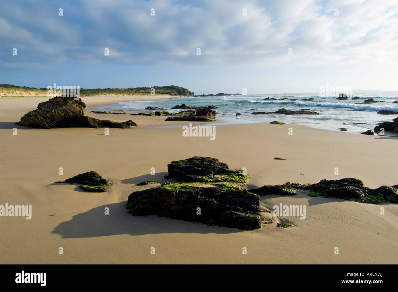 Eurobodalla National Park High Resolution Stock Photography and Images ...