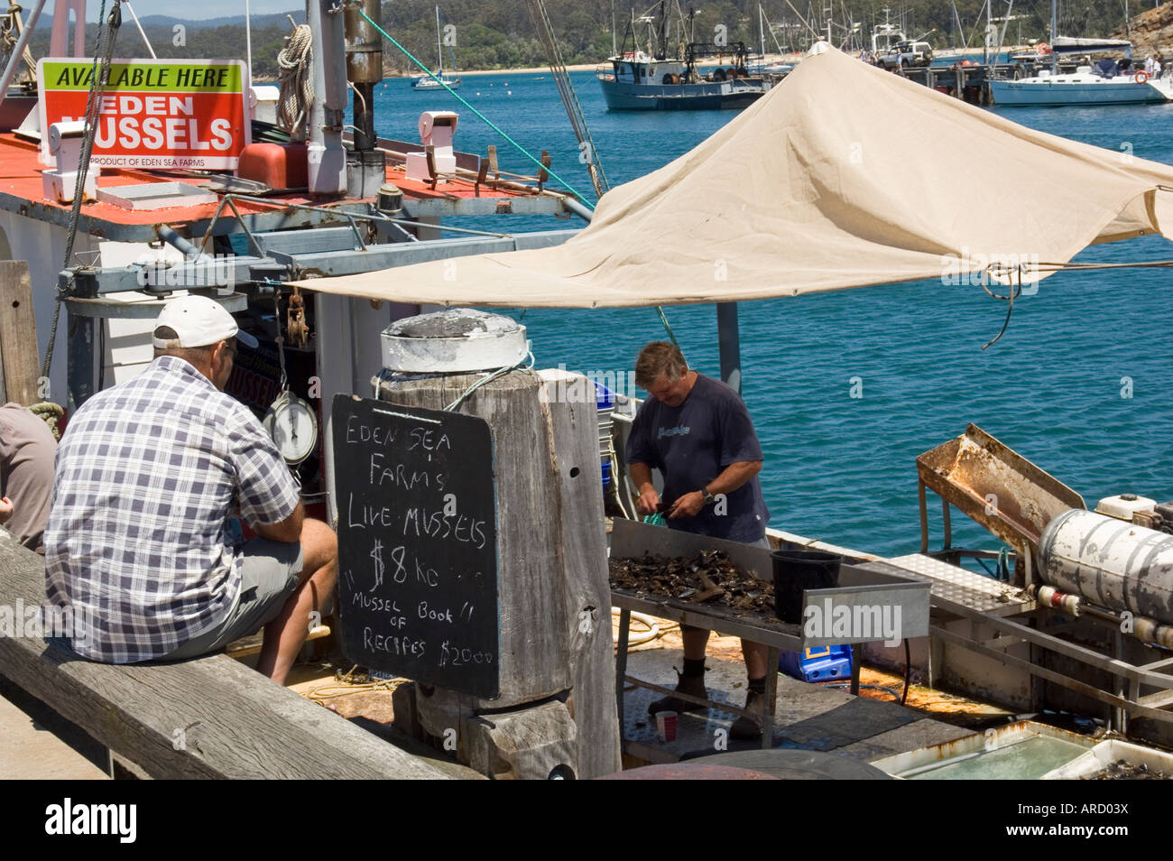 Fresh mussels for sale at Eden Wharf, New South Wales Australia Stock ...