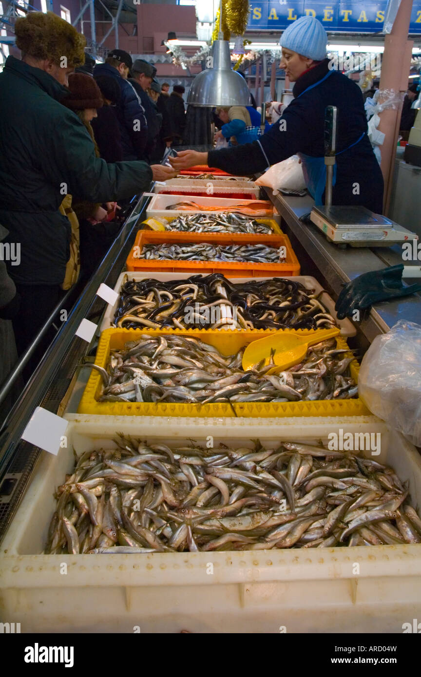Fish at Centraltirgus market hall in Riga Latvia EU Stock Photo - Alamy