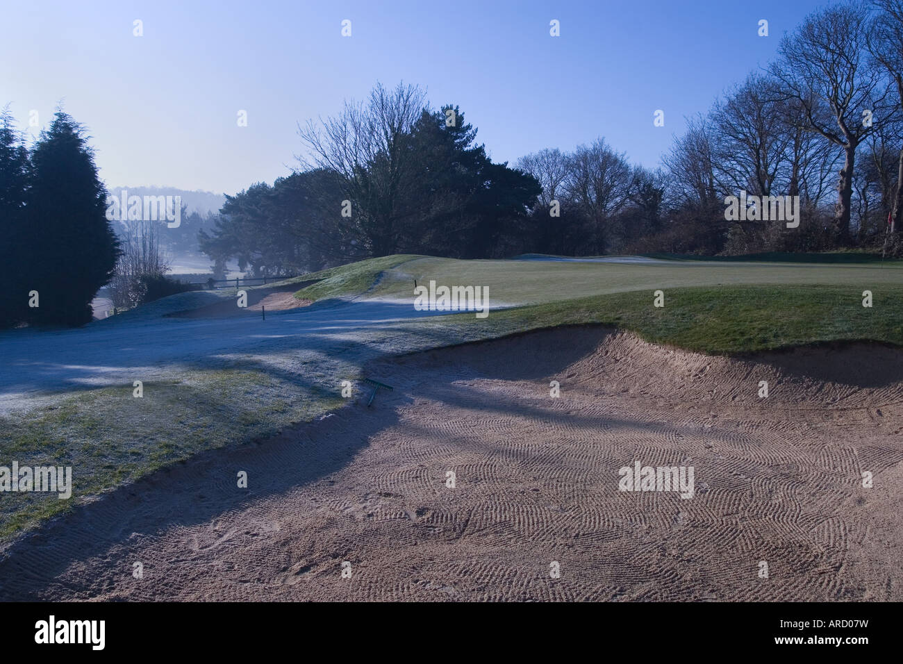 dawn mist on golf course Stock Photo - Alamy