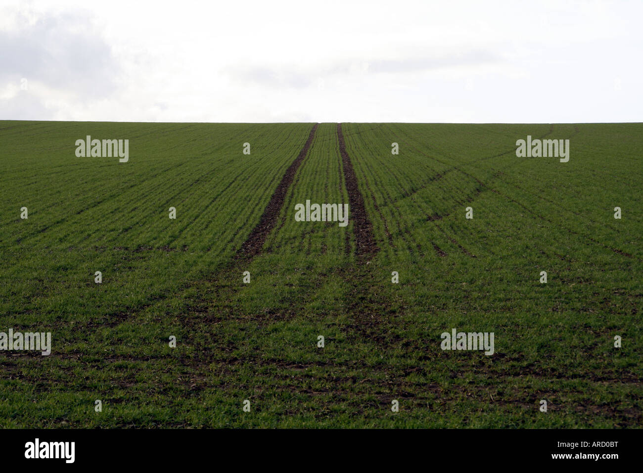 The green fields of Oxfordshire, England Stock Photo - Alamy