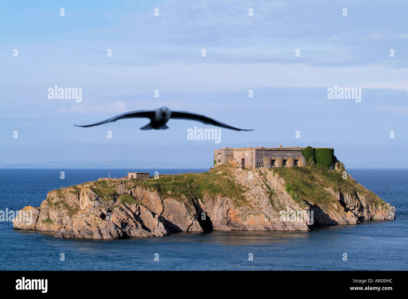 Fort St Catherines Island Tenby Pembrokeshire West Wales Stock Photo ...