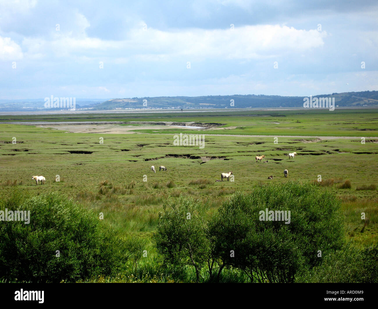 Whitford burrows gower hi-res stock photography and images - Alamy
