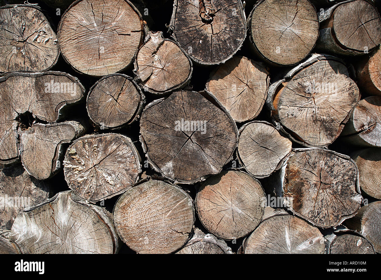 Timberwood hi-res stock photography and images - Alamy
