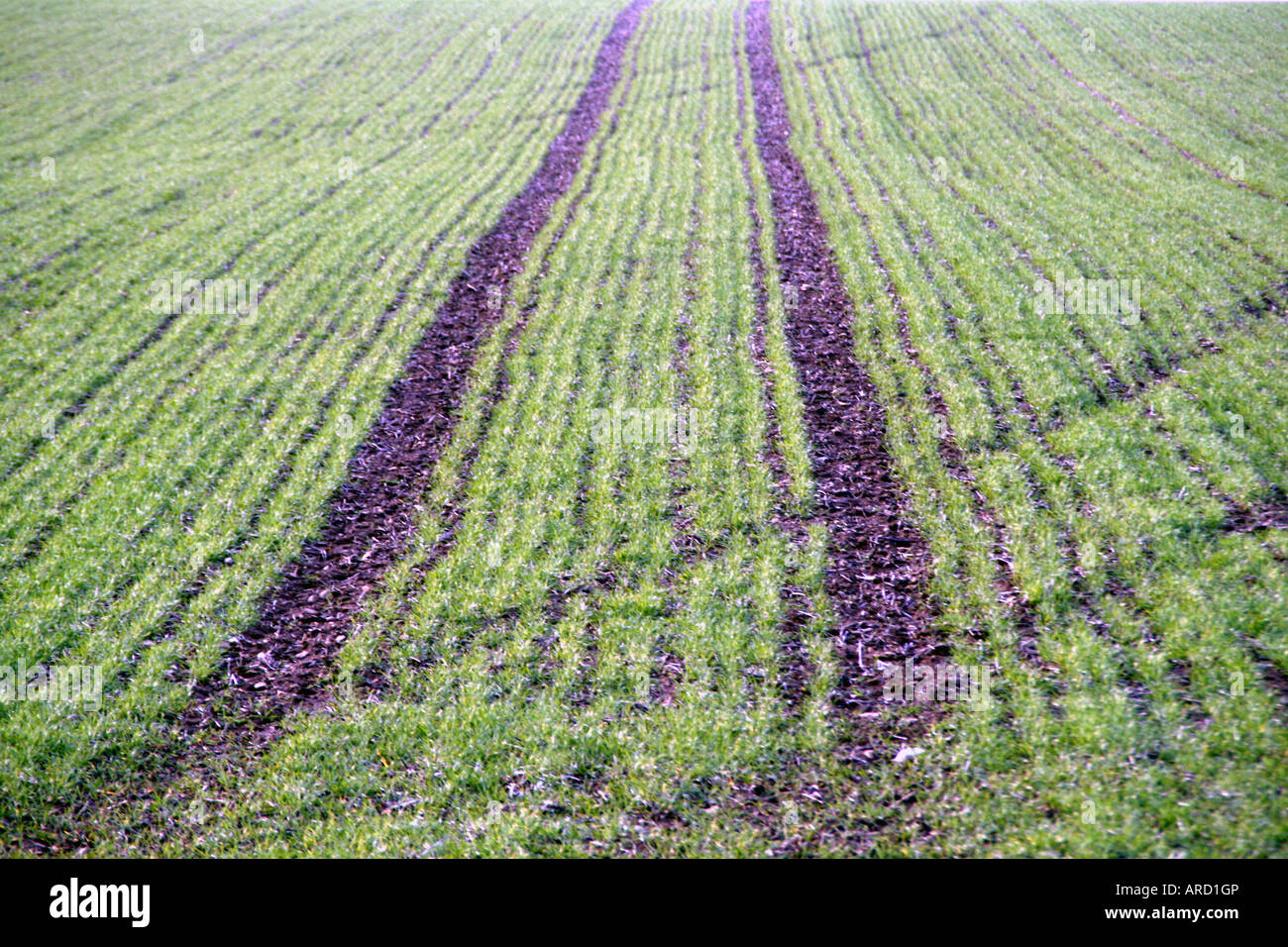 Green fields of Oxfordshire, England Stock Photo - Alamy