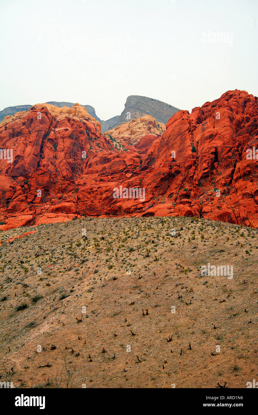 Red Rock Canyon, Southern Nevada, USA Stock Photo - Alamy