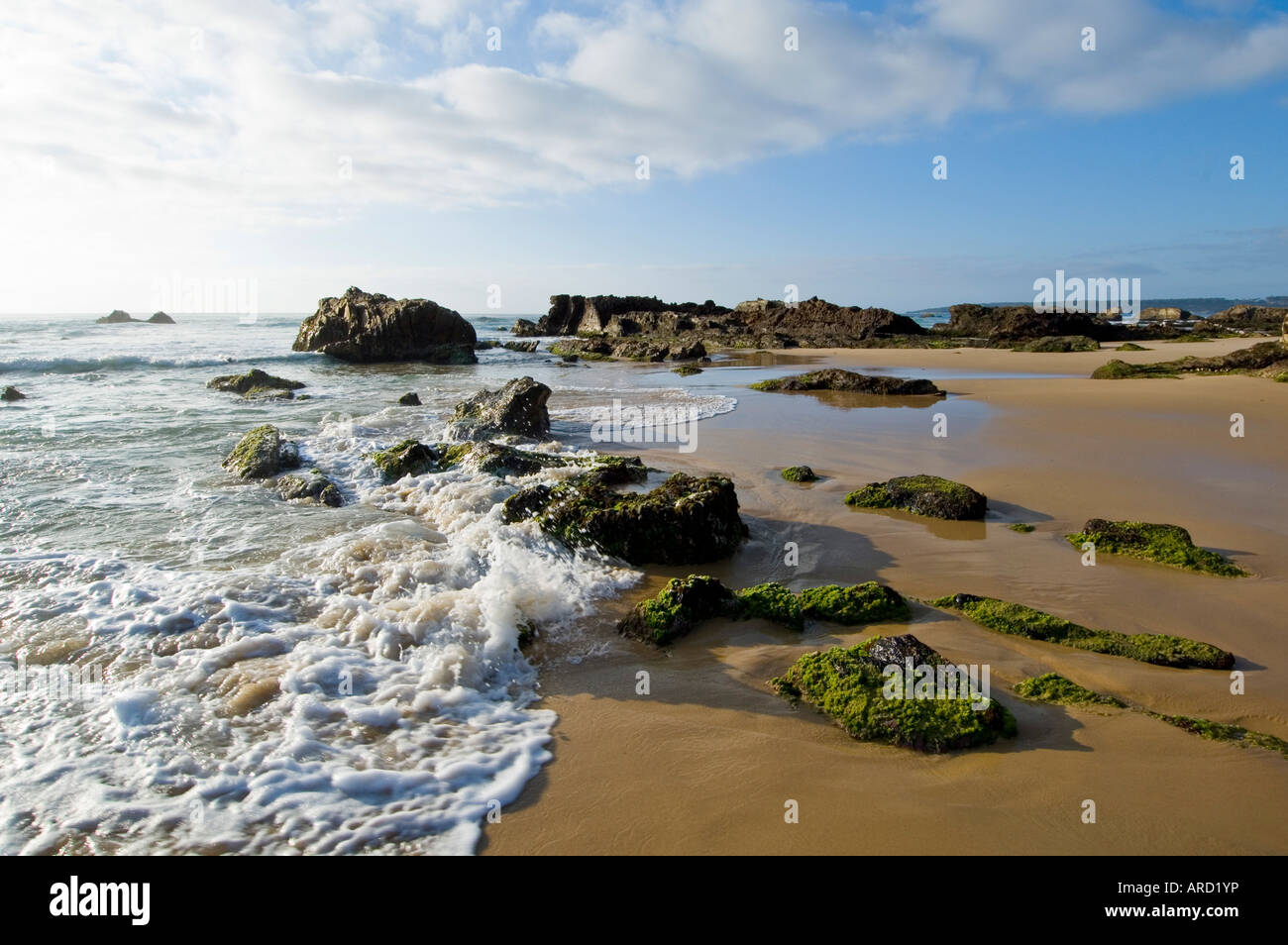 Eurobodalla National Park High Resolution Stock Photography and Images ...
