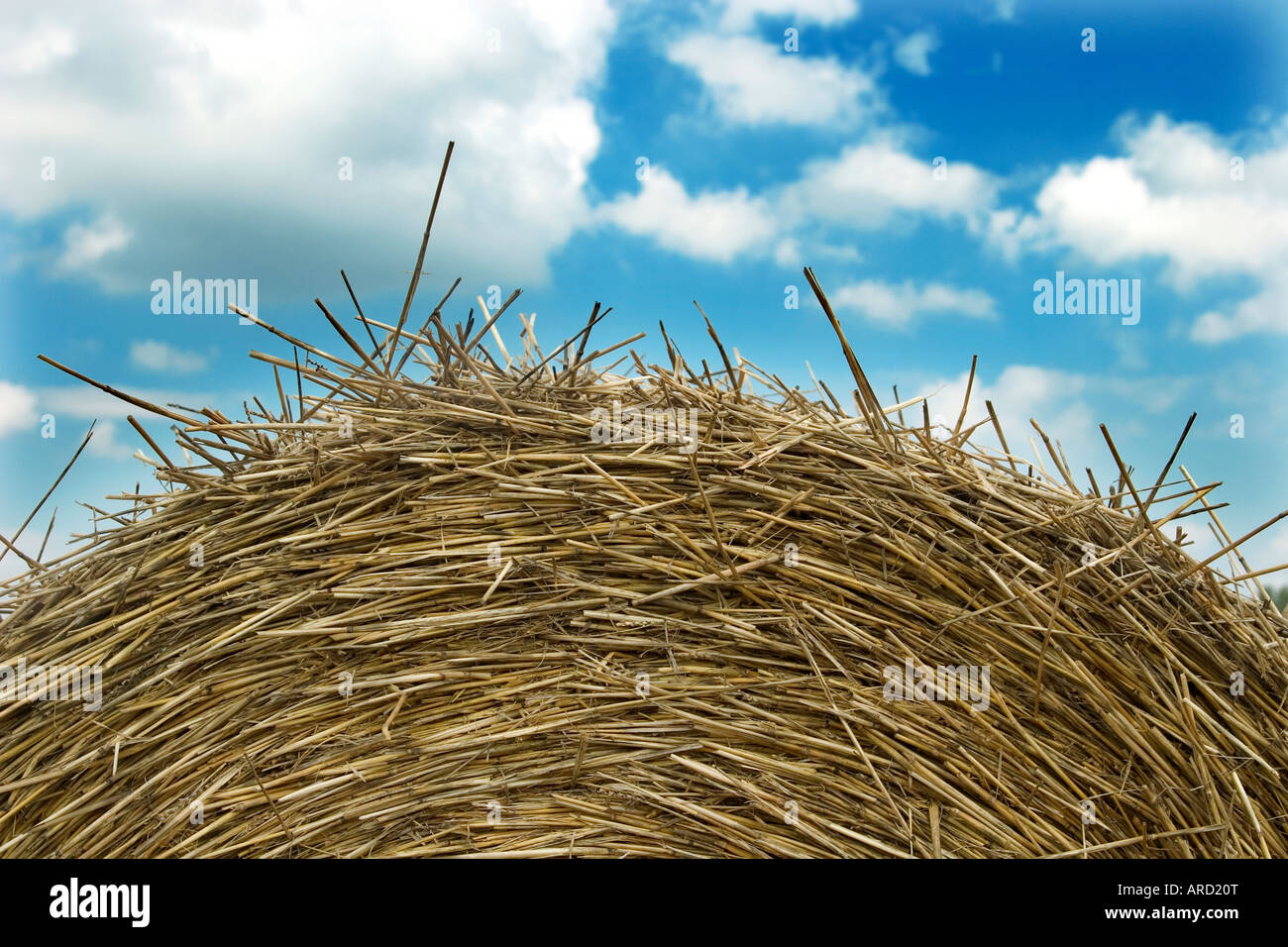 Hay season hi-res stock photography and images - Alamy