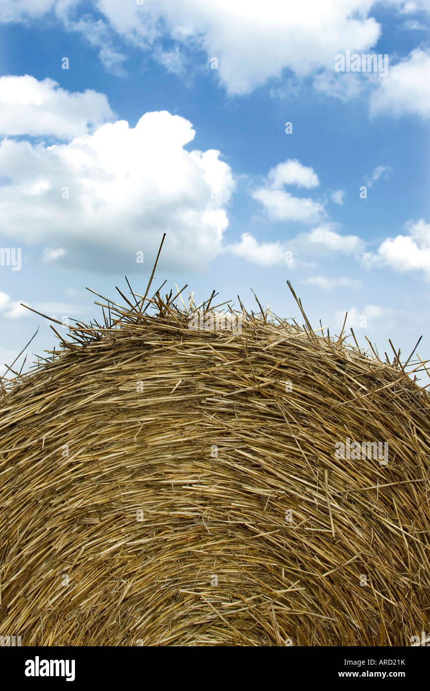 Hay season hi-res stock photography and images - Alamy