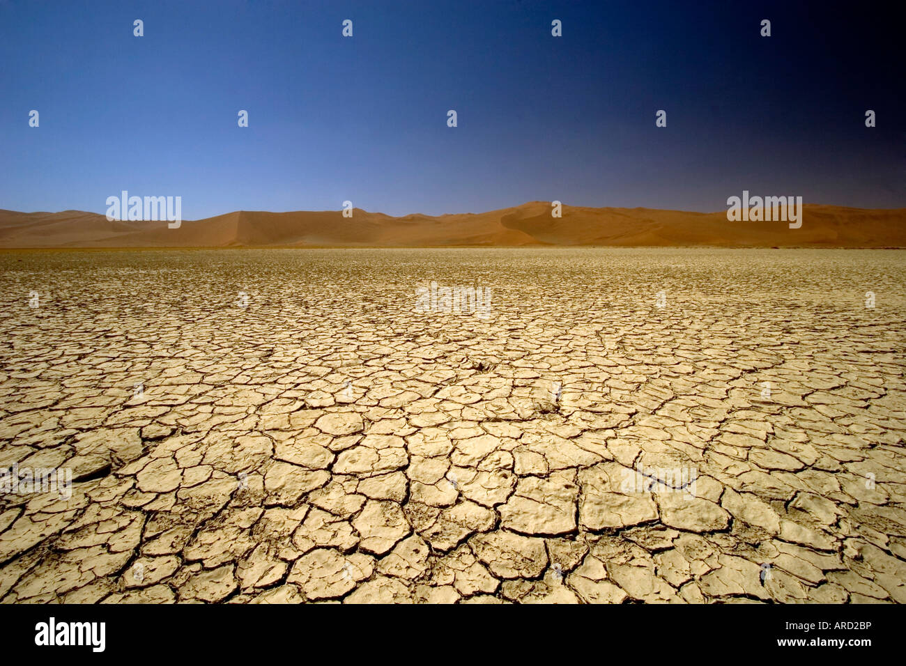Cracker mud in nature reserve Sossusvlei Stock Photo - Alamy