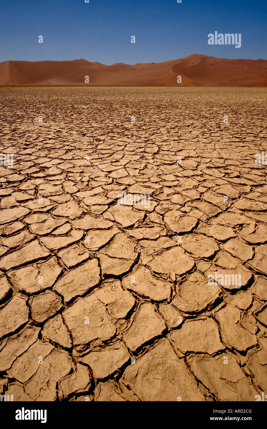 Cracker mud in nature reserve Sossusvlei Stock Photo - Alamy