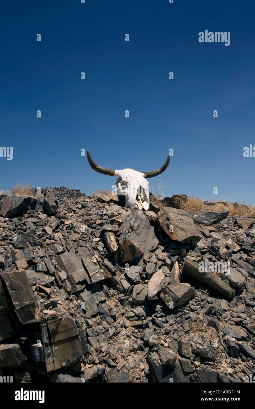 Drought africa dead animal hi-res stock photography and images - Alamy