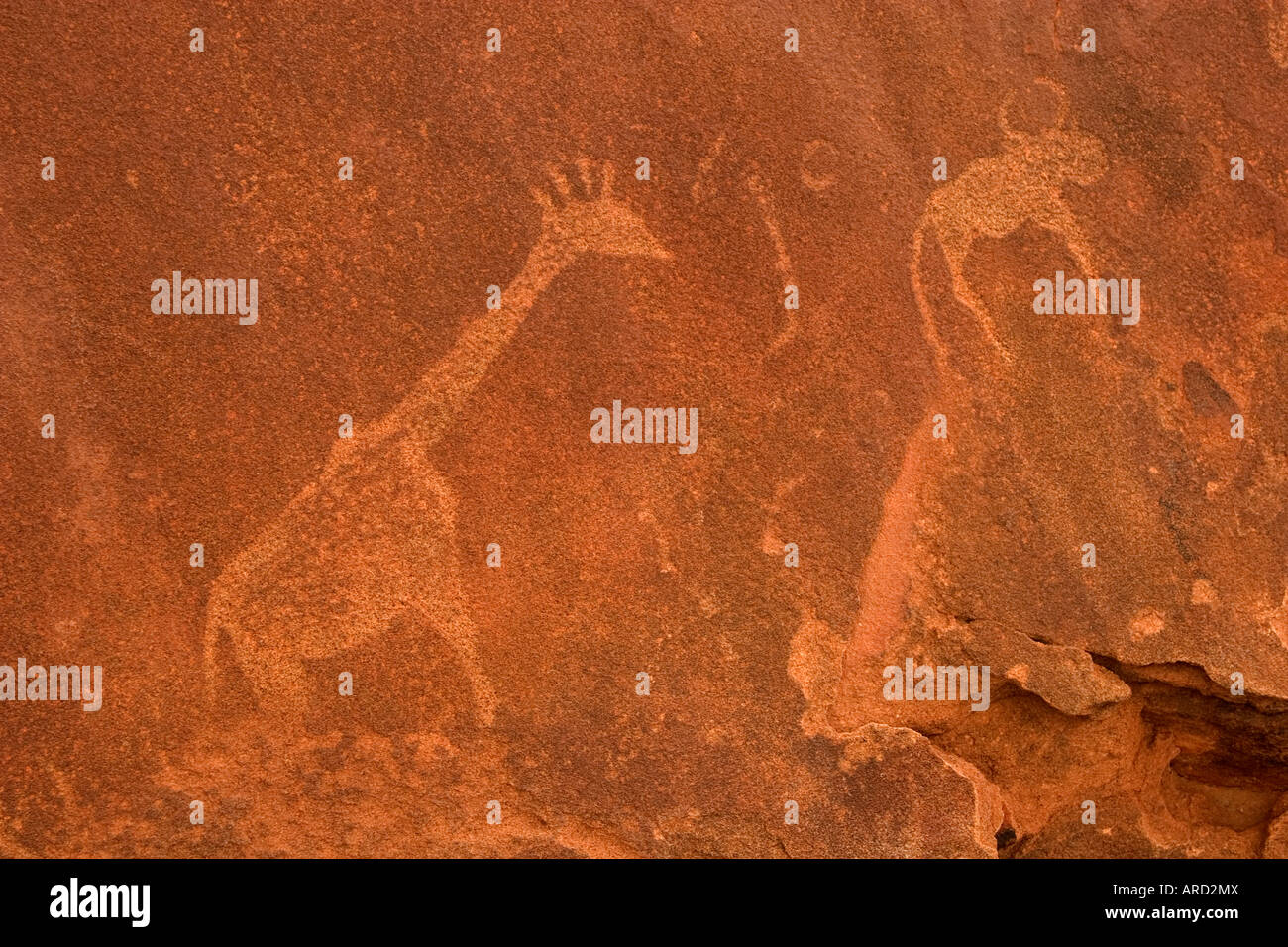 Bushmen drawings in Twyfelfontein in Namibia Stock Photo - Alamy