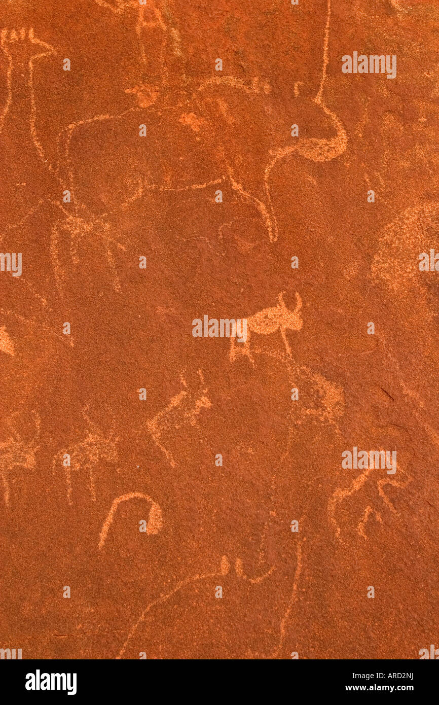 Bushmen drawings in Twyfelfontein in Namibia Stock Photo - Alamy