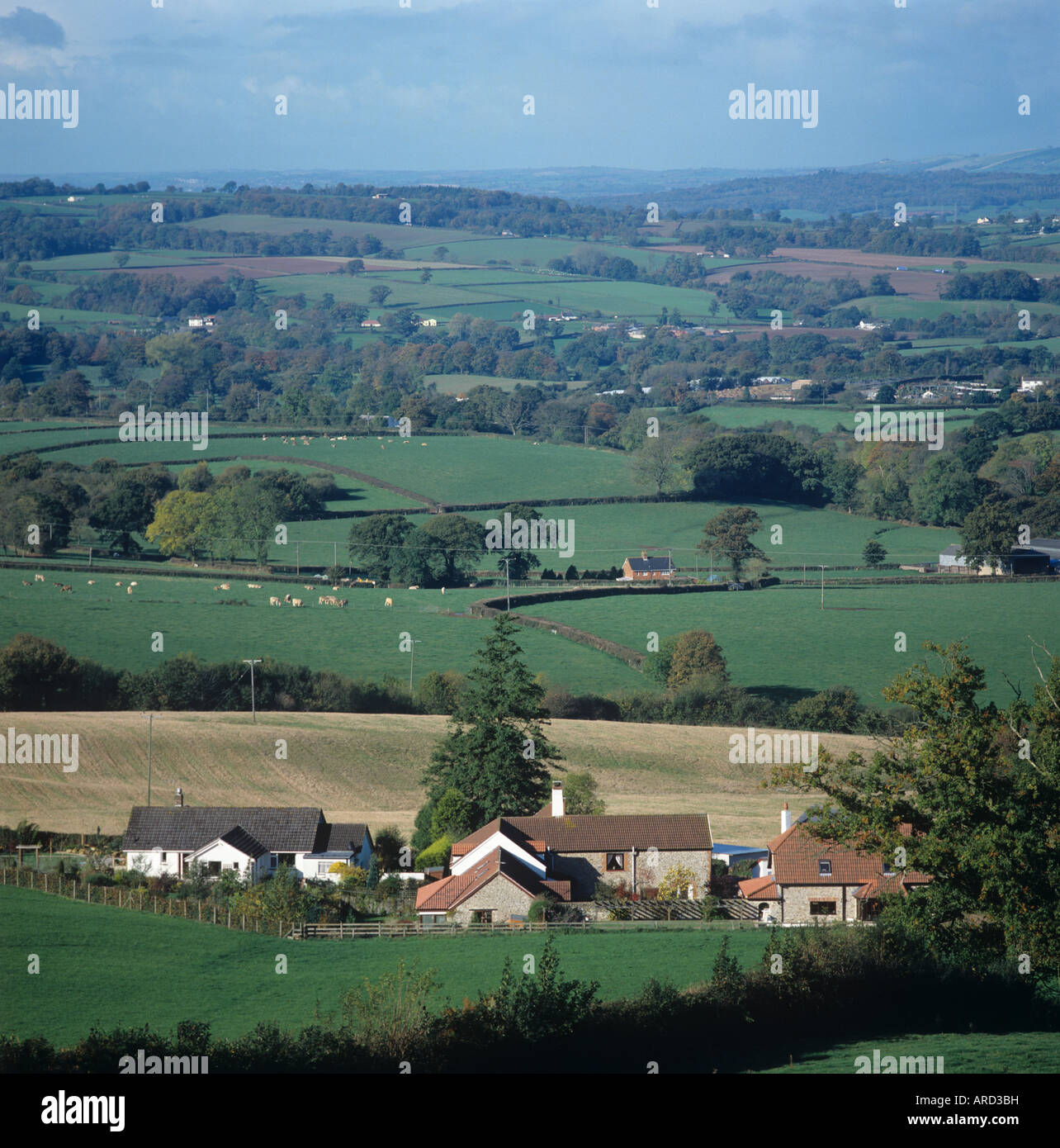 Mixed autumn Devon farmland with buildings and small fields Stock Photo ...