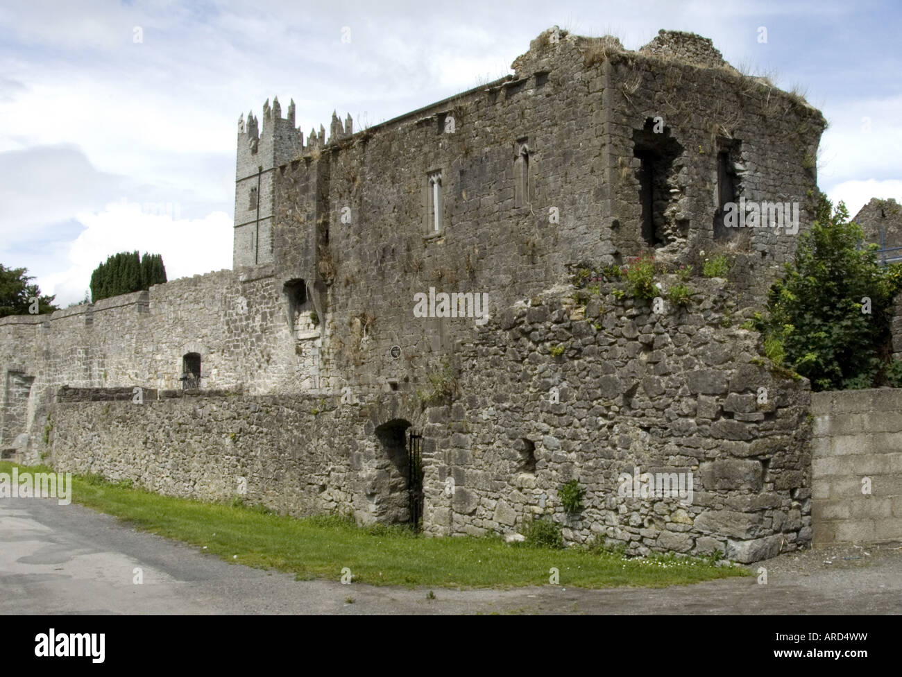 Edmond s Castle Fethard Co Tipperary www osheaphotography com Stock ...