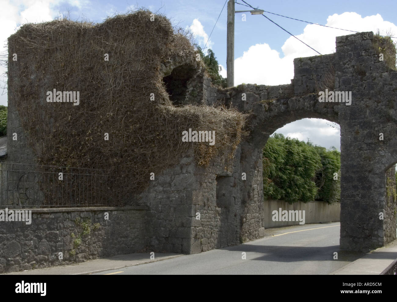 North Tipperary High Resolution Stock Photography and Images - Alamy