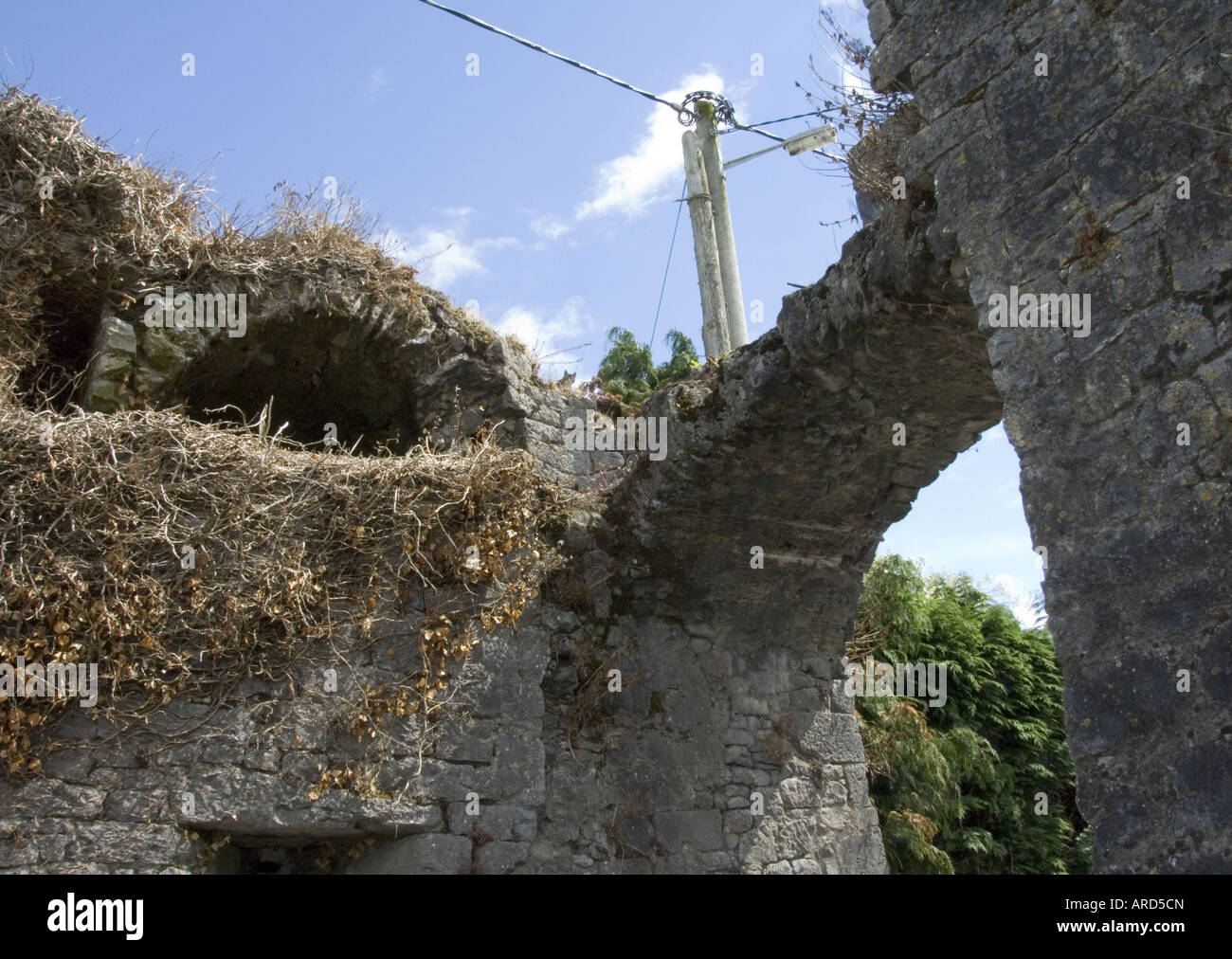 North Tipperary High Resolution Stock Photography and Images - Alamy