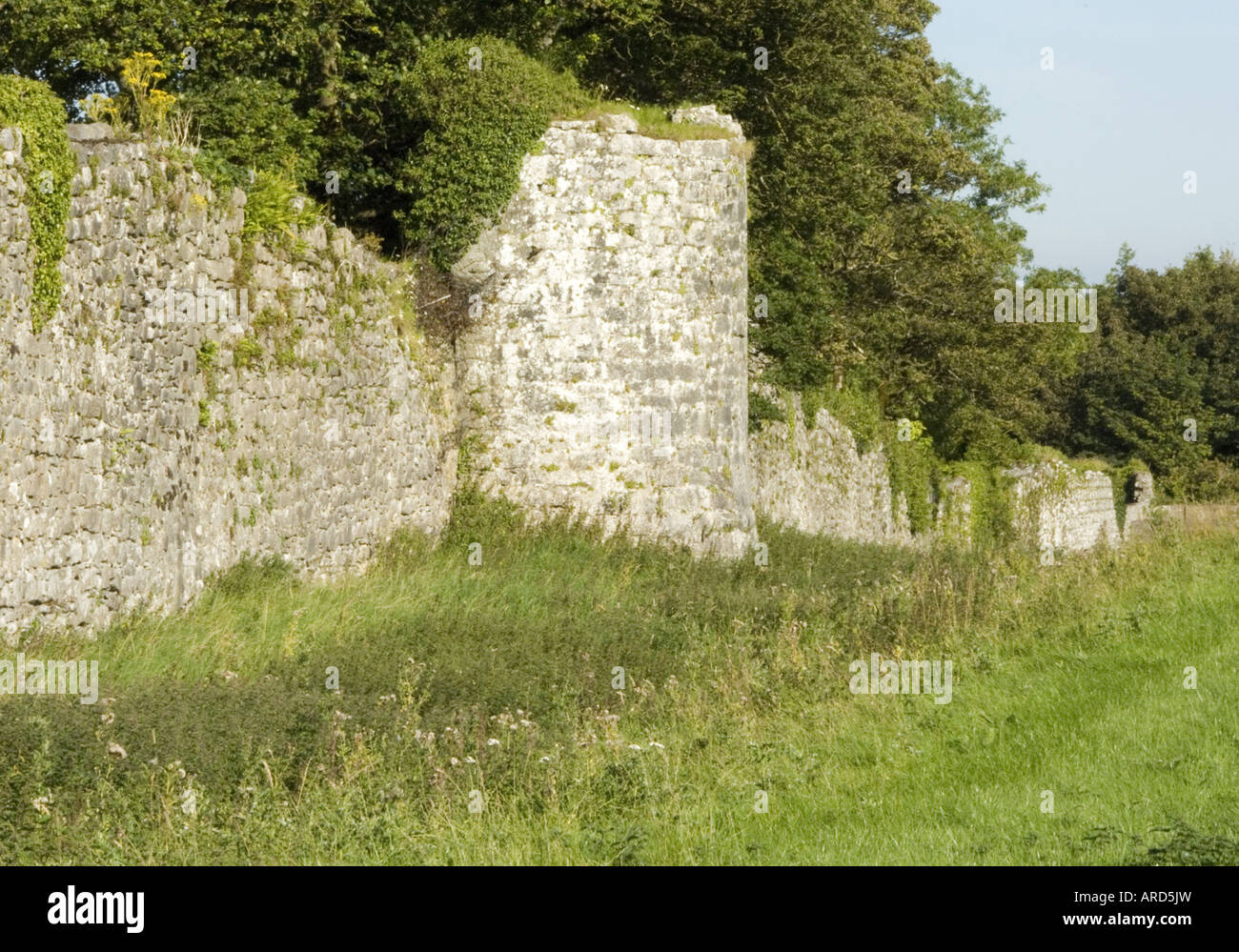 South Wall Town Walls Athenry Co Galway www osheaphotography com Stock ...