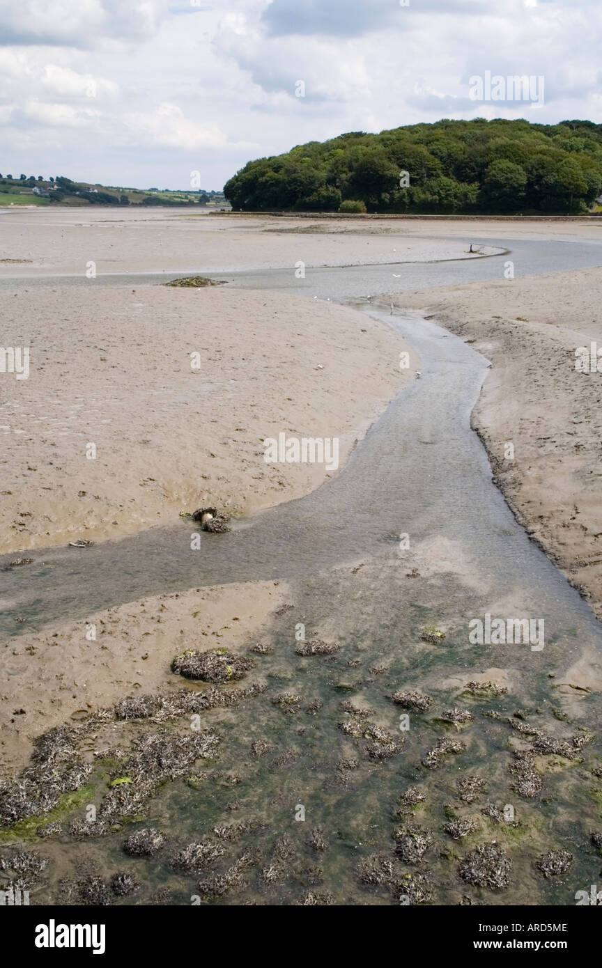 South west Ireland West Cork Timoleague estuary Stock Photo - Alamy