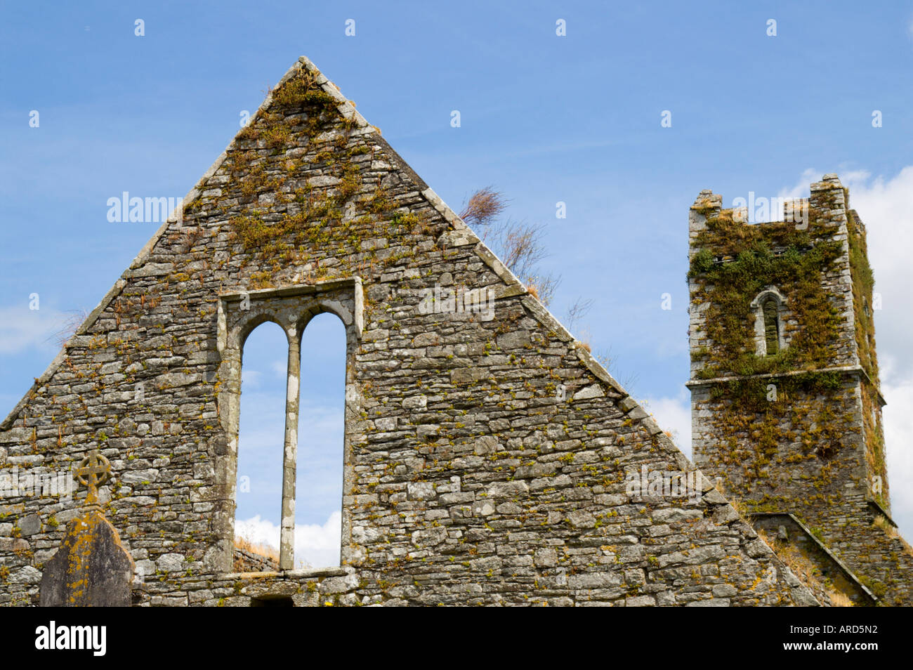 South west Ireland West Cork Timoleague Abbey Stock Photo - Alamy