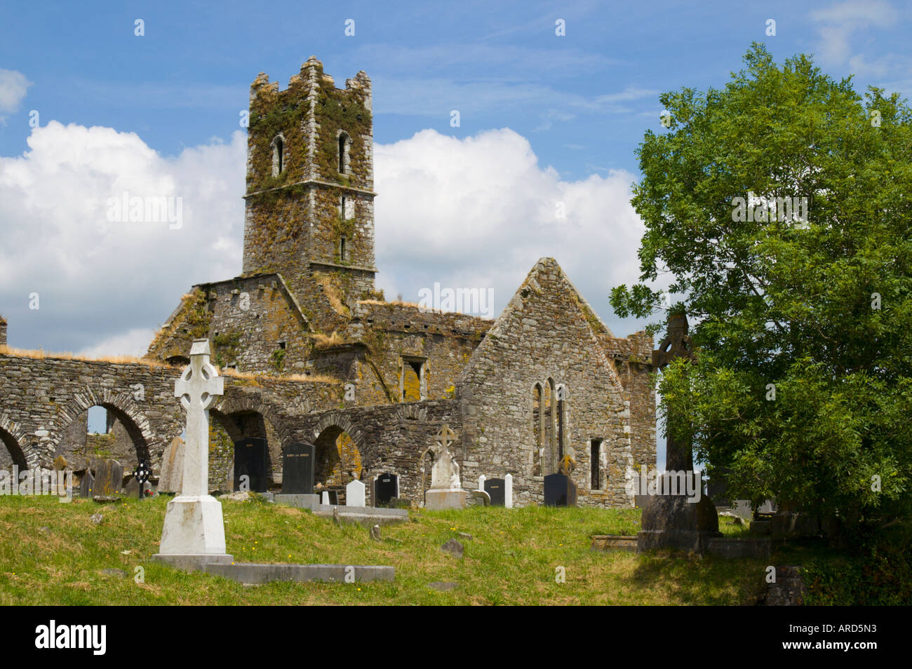 Timoleague abbey hi-res stock photography and images - Alamy