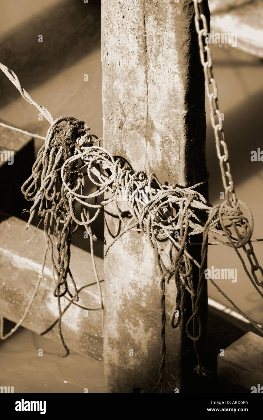 tangled ropes on riverside post Stock Photo - Alamy