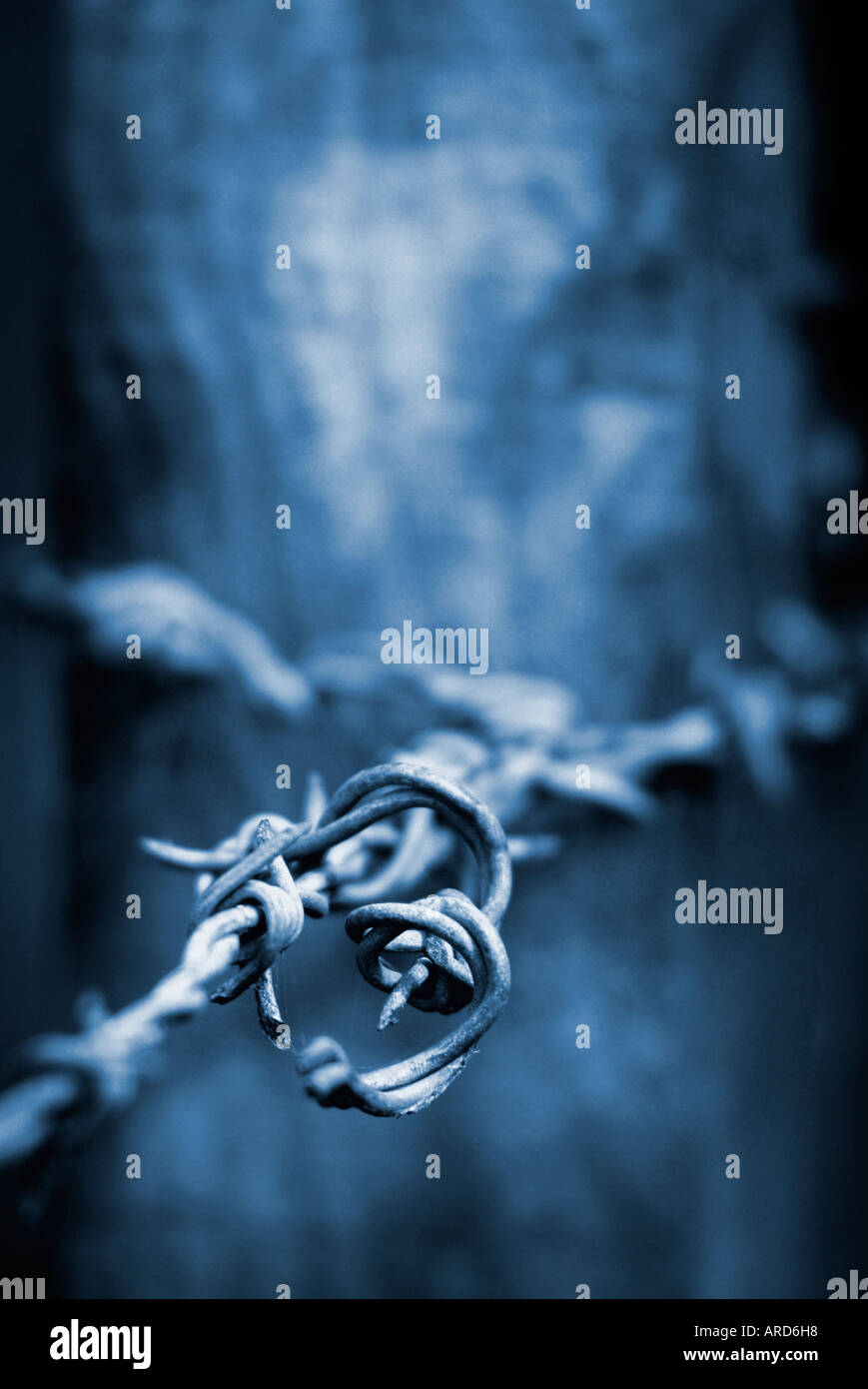 Spikey wire hi-res stock photography and images - Alamy