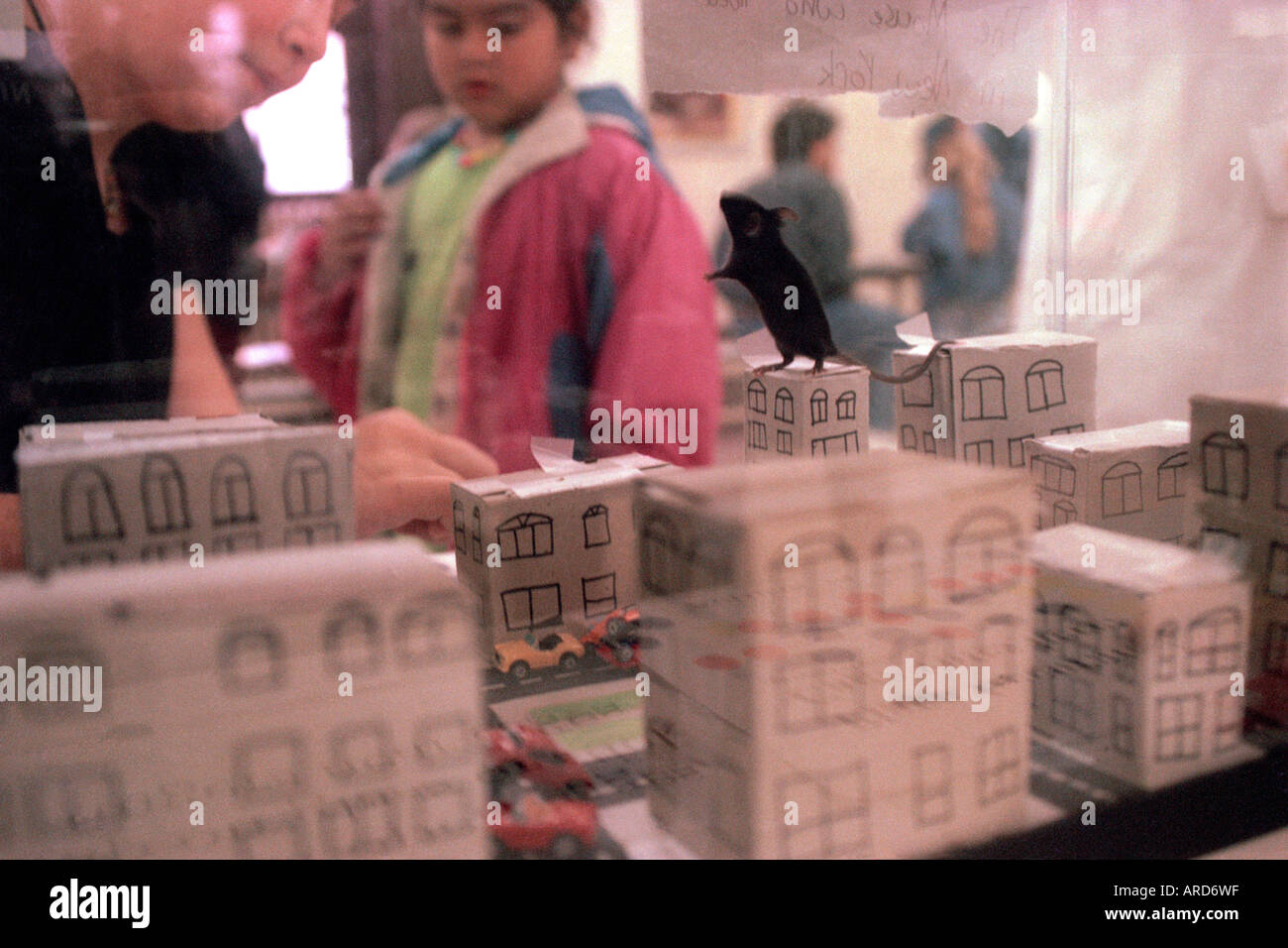 Northeast Rat and Mouse Club annual Rat and Mouse National Show Stock ...