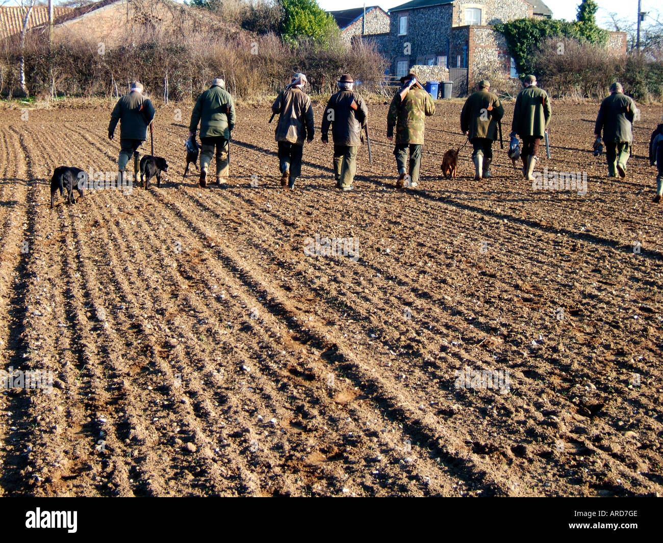 shooting syndicate members going home at the end of a days driven ...