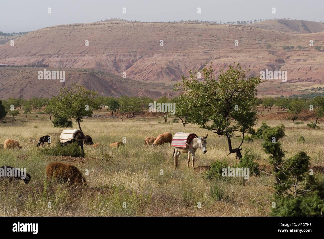 Agrotourisme hi-res stock photography and images - Alamy