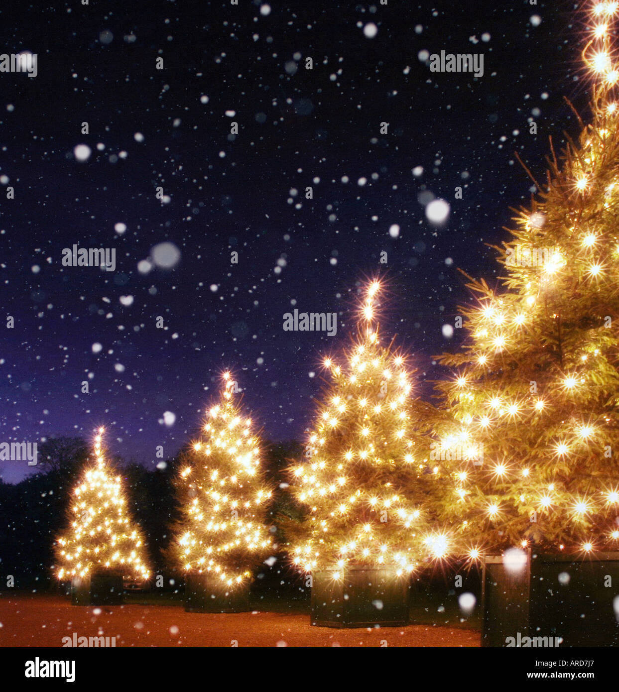 Xmas tree with snow hi-res stock photography and images - Alamy