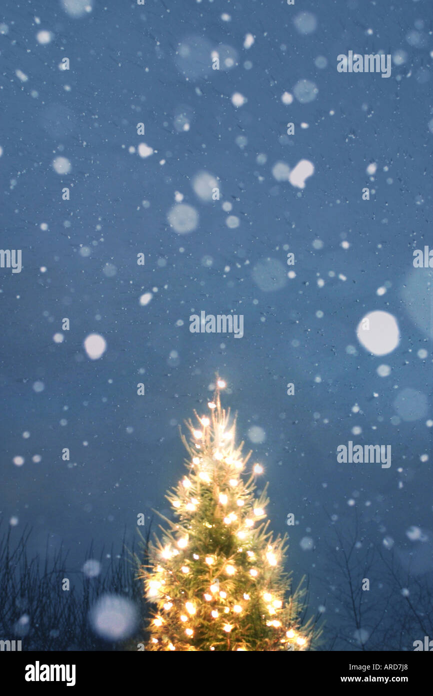 christmas tree in the snow Stock Photo - Alamy