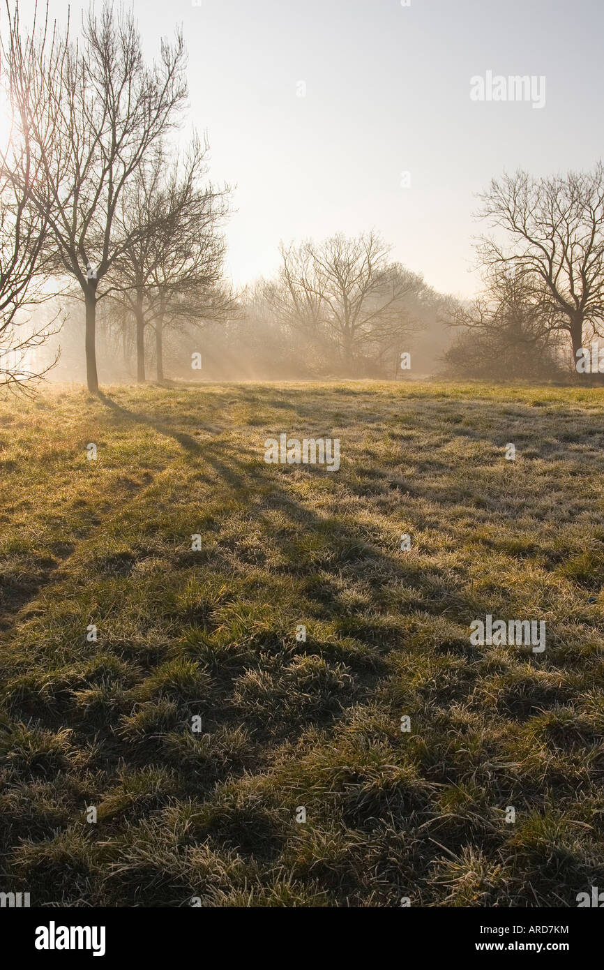 Dawn mist in Croydon park Stock Photo - Alamy