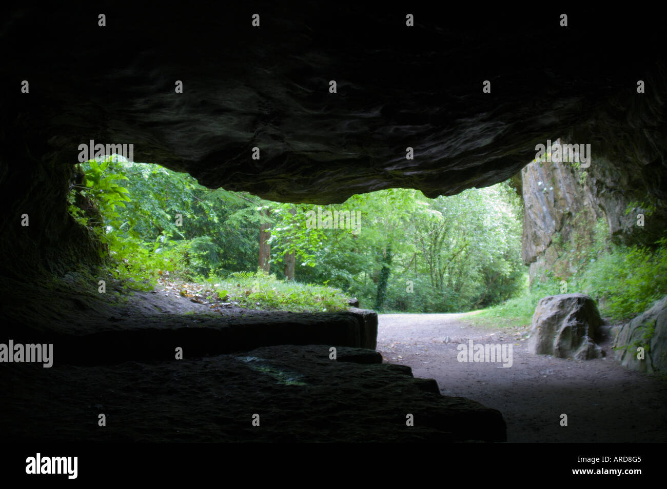 County cork cave hi-res stock photography and images - Alamy