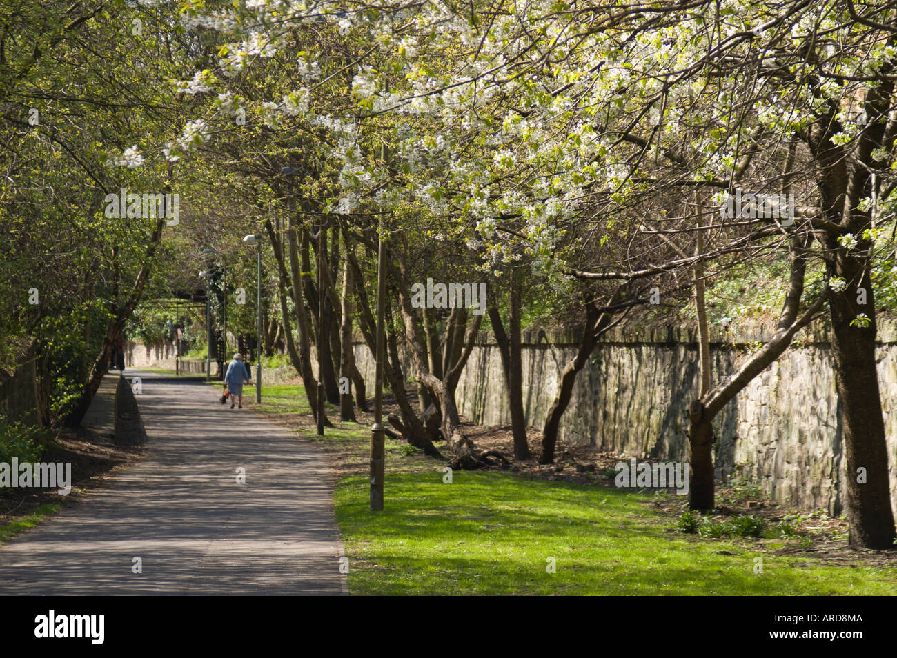 On the Water of Leith Walkway a pedestrian and cyclist route reclaimed ...